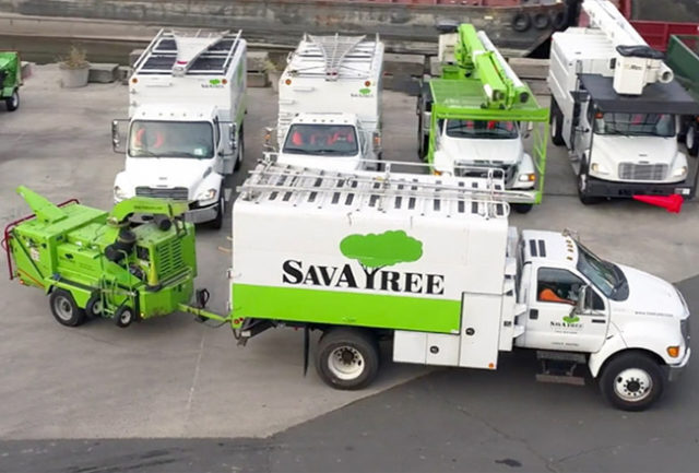 Bedford Hills' SavATree acquires New Canaan's Pauley Tree & Lawn Care