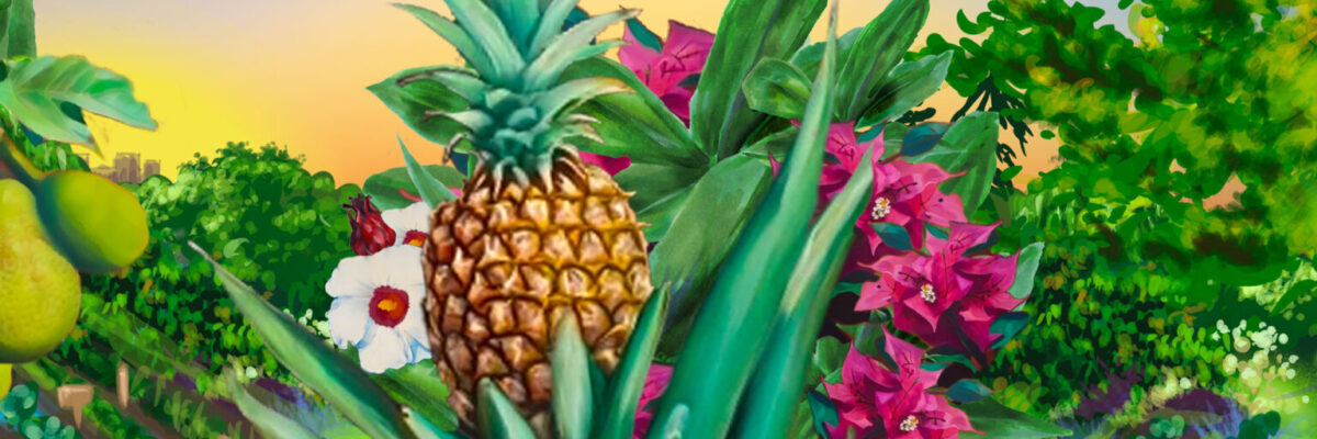 A Caribbean stay, by way of the BronxÂ - Westfair Communications