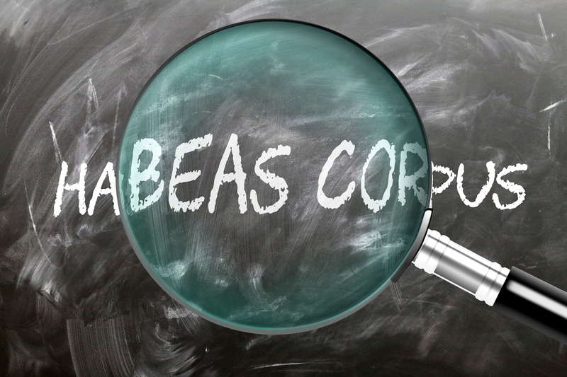 Middletown healthcare fraudster fails to escape prison sentence ...