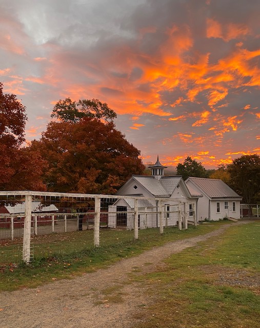 The Alfred B. DelBello Muscoot Farm in Katonah turns the big 50 ...